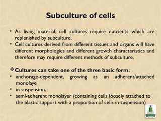 Lab 8 handbook and animal cell culture.pptx