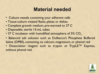 Lab 8 handbook and animal cell culture.pptx