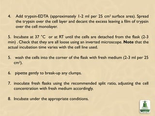 Lab 8 handbook and animal cell culture.pptx