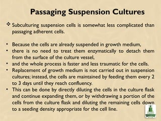 Lab 8 handbook and animal cell culture.pptx