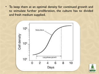 Lab 8 handbook and animal cell culture.pptx