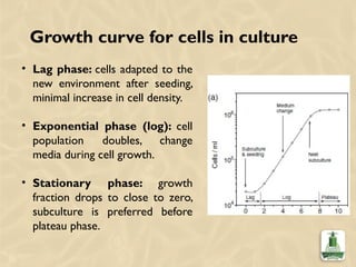 Lab 8 handbook and animal cell culture.pptx