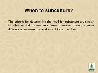 Lab 8 handbook and animal cell culture.pptx