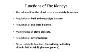 Anatomy and physiology urinary system . | PPTX