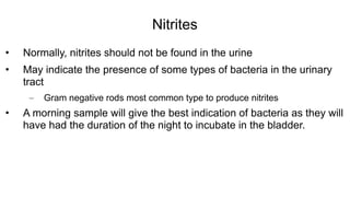 Anatomy and physiology urinary system . | PPTX