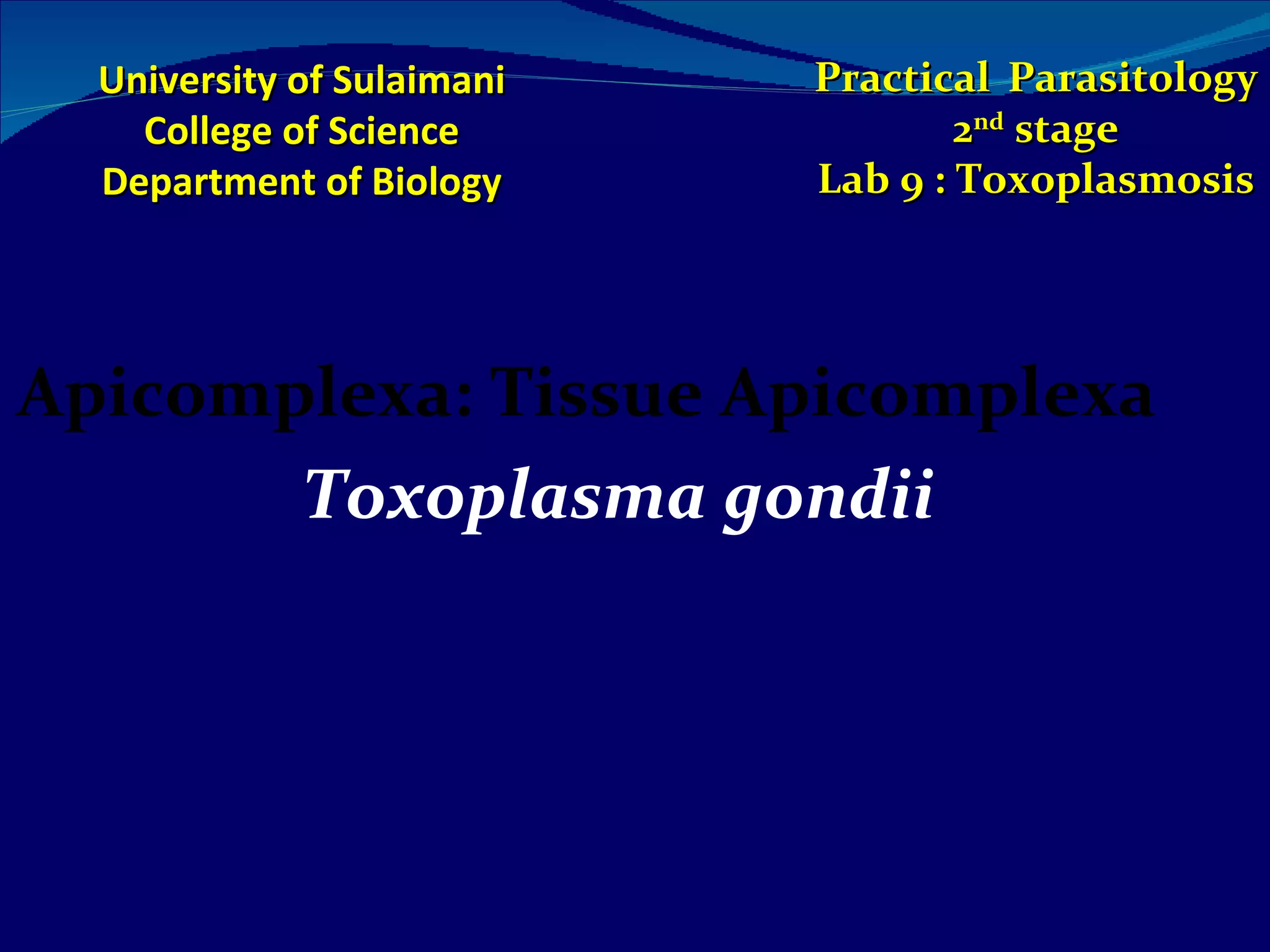 Lab 9 -toxoplasmosis | PPT