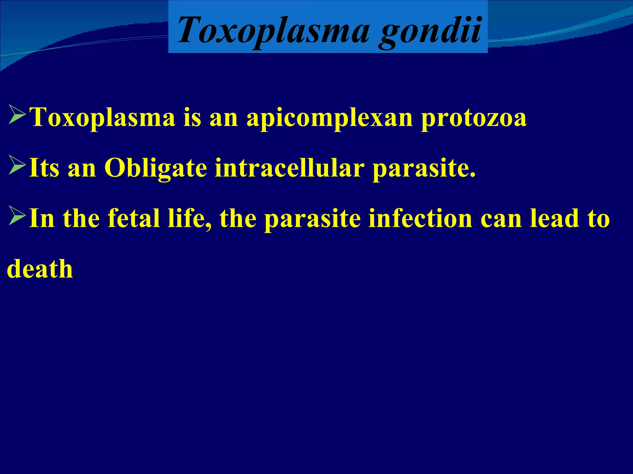 Lab 9 -toxoplasmosis | PPT