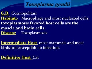 Lab 9 -toxoplasmosis | PPT