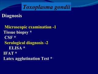 Lab 9 -toxoplasmosis | PPT