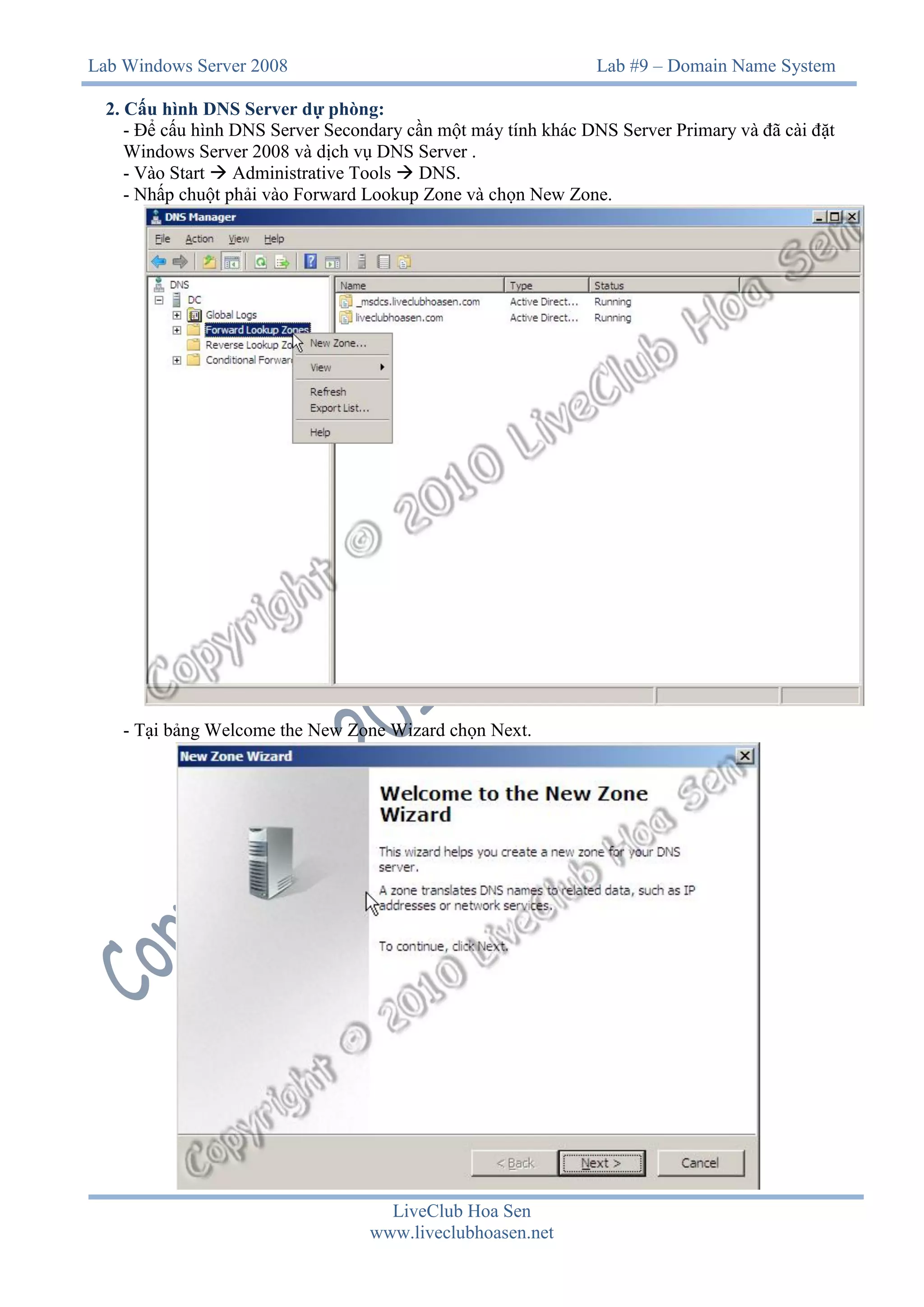 Lab 9 dns server | PDF