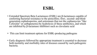 ESBL Detection | PPTX | Chemistry | Science