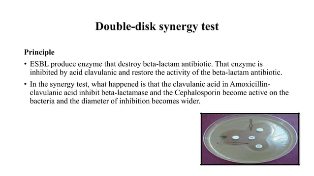 ESBL Detection | PPT