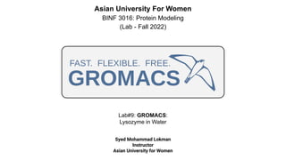 Gromacs - Molecular Dynamics Simulation | PDF