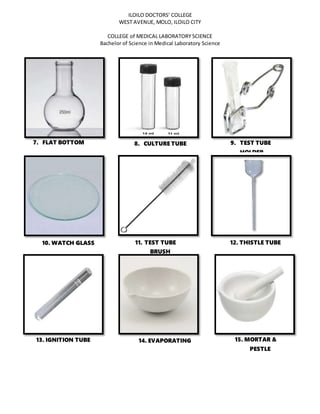 LAB ACTIVITY -1.docx