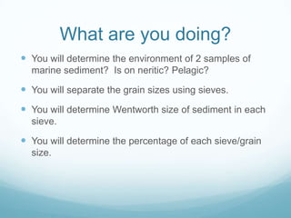 Lab: Analzing Marine Sediments | PPTX