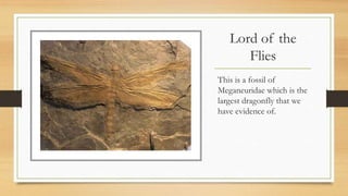 Lab and field assignment | PPT