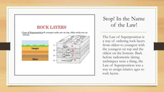 Lab and field assignment | PPT