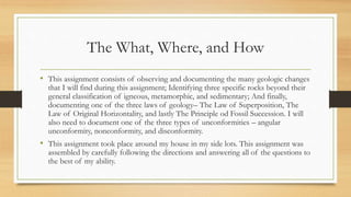 Lab and field assignment | PPT