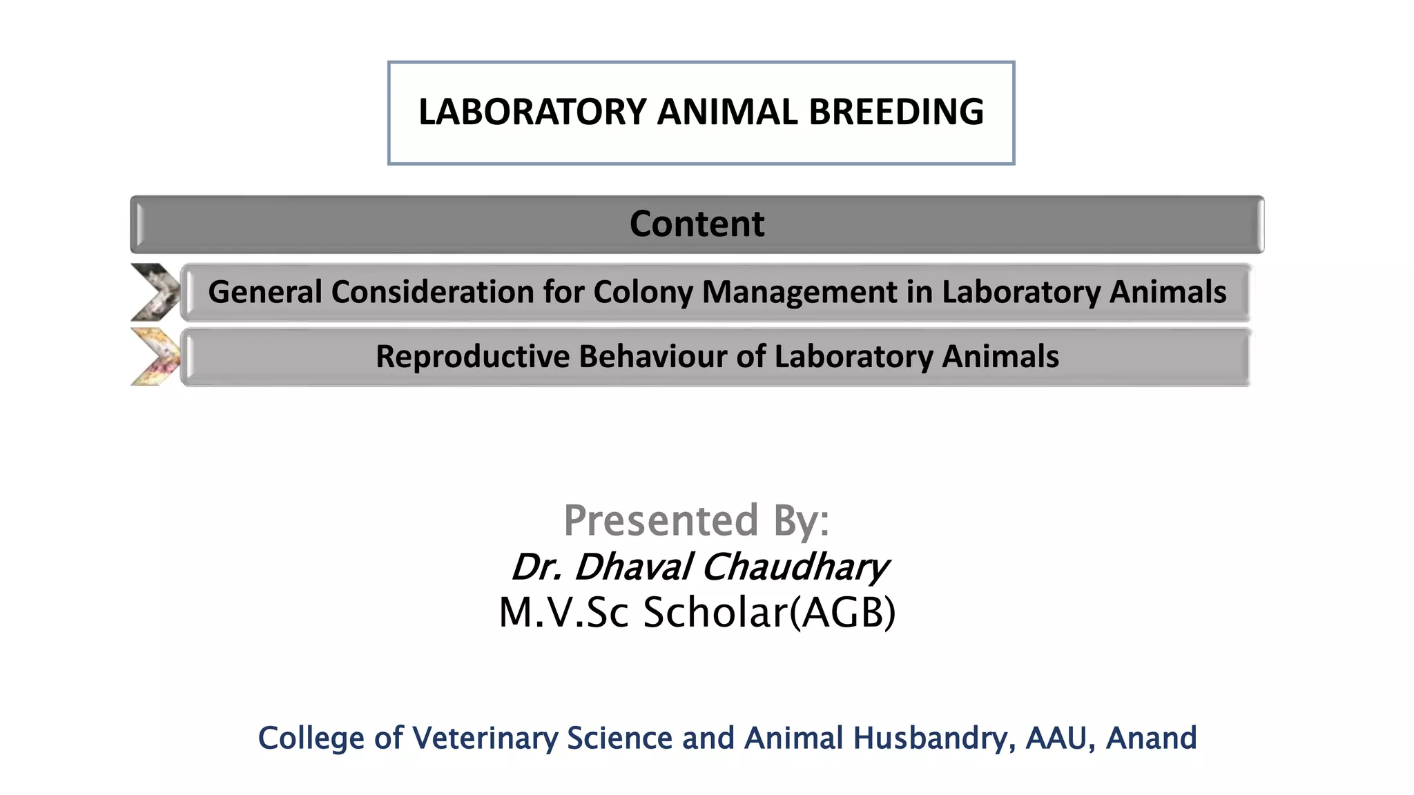 Lab Animal Breeding | PPTX