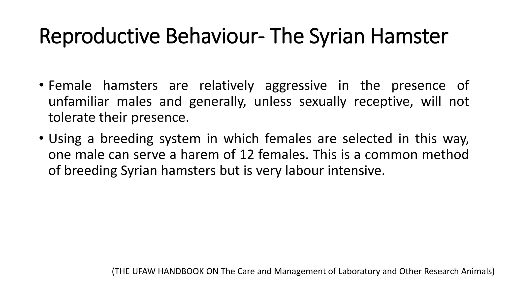Lab Animal Breeding | PPTX