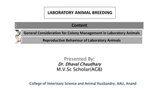 Lab Animal Breeding | PPTX