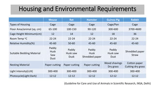 Lab Animal Breeding | PPTX