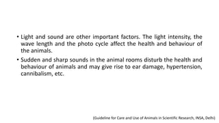 Lab Animal Breeding | PPTX