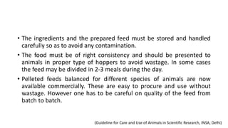 Lab Animal Breeding | PPTX