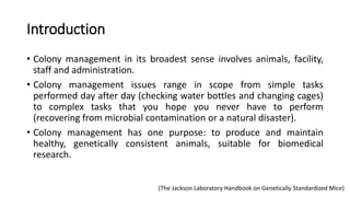 Lab Animal Breeding | PPTX