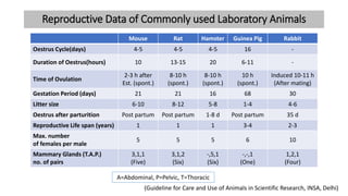 Lab Animal Breeding | PPTX