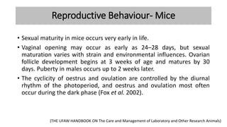 Lab Animal Breeding | PPTX