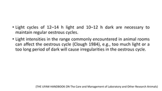 Lab Animal Breeding | PPTX