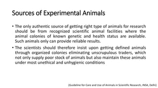 Lab Animal Breeding | PPTX