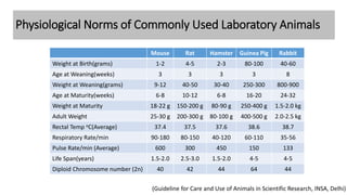 Lab Animal Breeding | PPTX