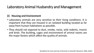 Lab Animal Breeding | PPTX