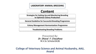 Lab animal breeding (2) | PPTX