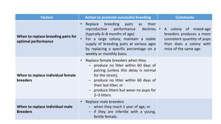 Lab animal breeding (2) | PPTX