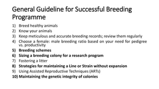 Lab animal breeding (2) | PPTX