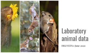 Lab animal data | PDF | Biological Sciences | Science