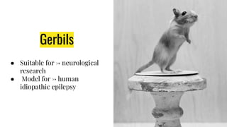 Lab animal data | PDF