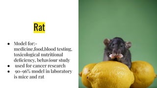 Lab animal data | PDF