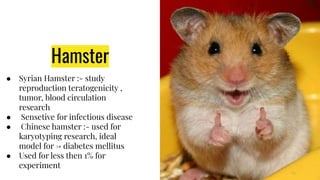 Lab animal data | PDF | Biological Sciences | Science