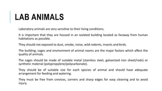 Lab animal husbandry | PPTX
