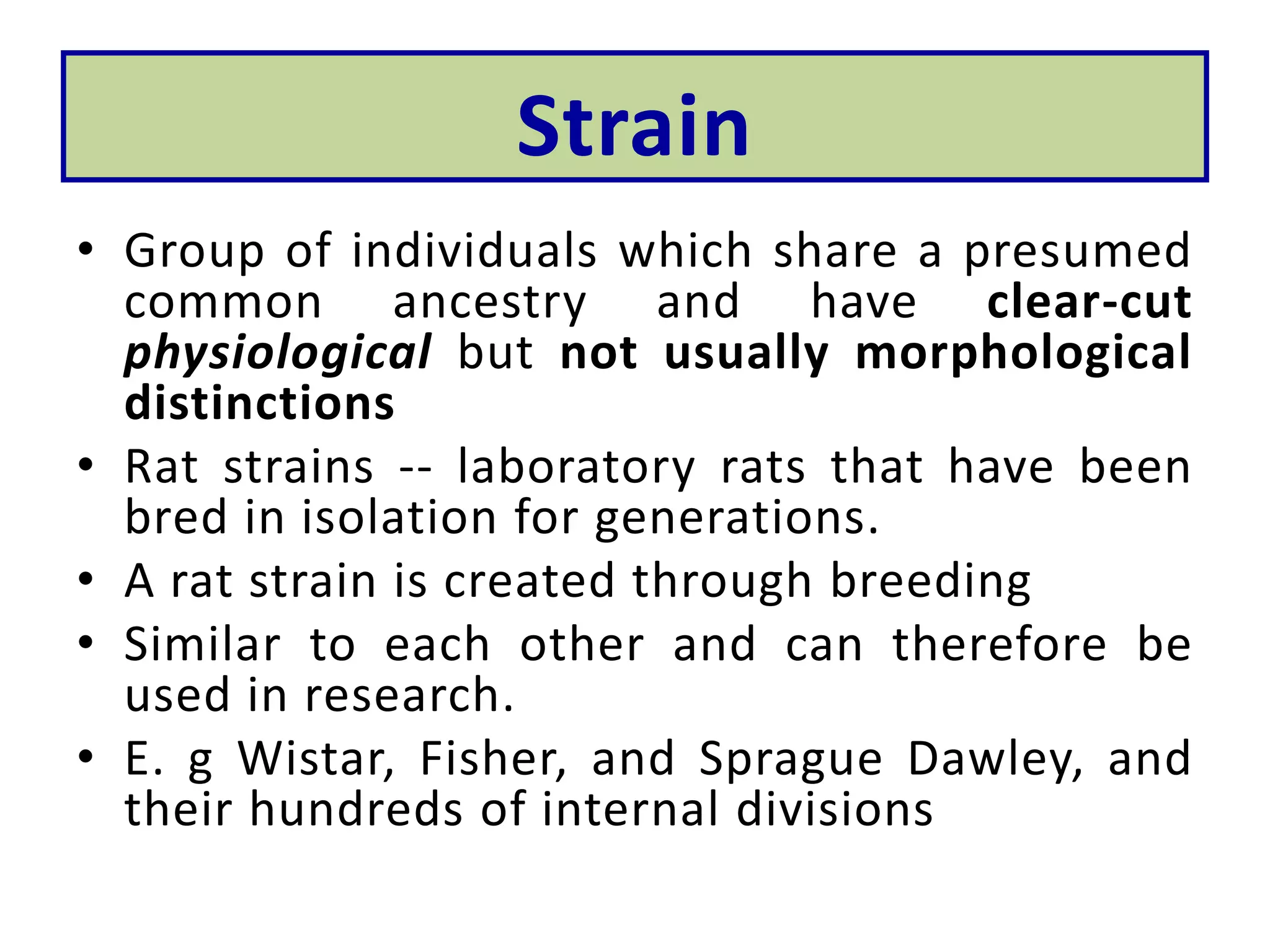 Laboratory animals | PPTX