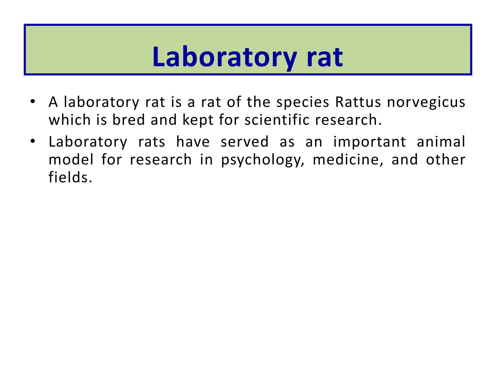 Laboratory animals | PPTX
