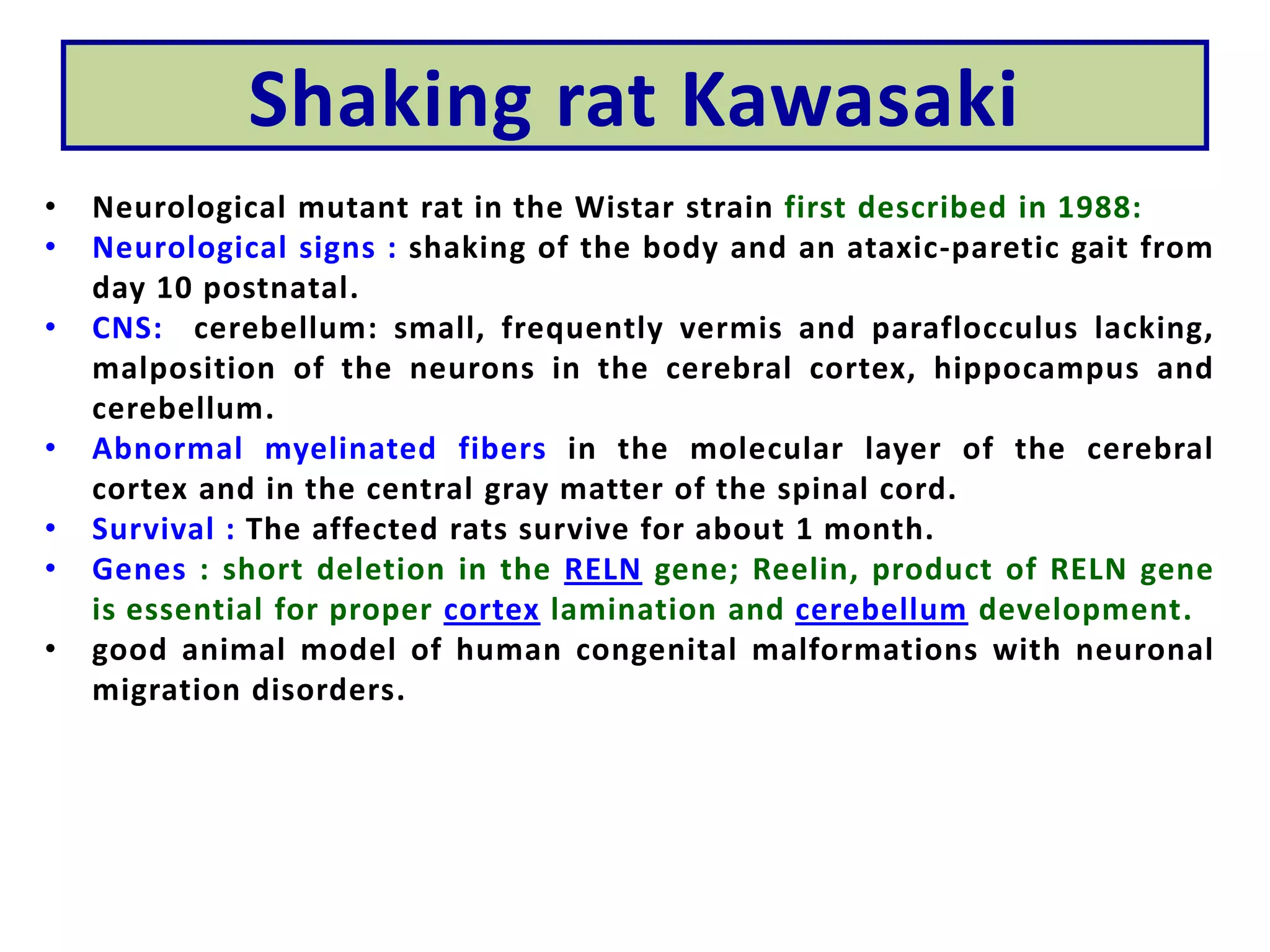 Laboratory animals | PPTX