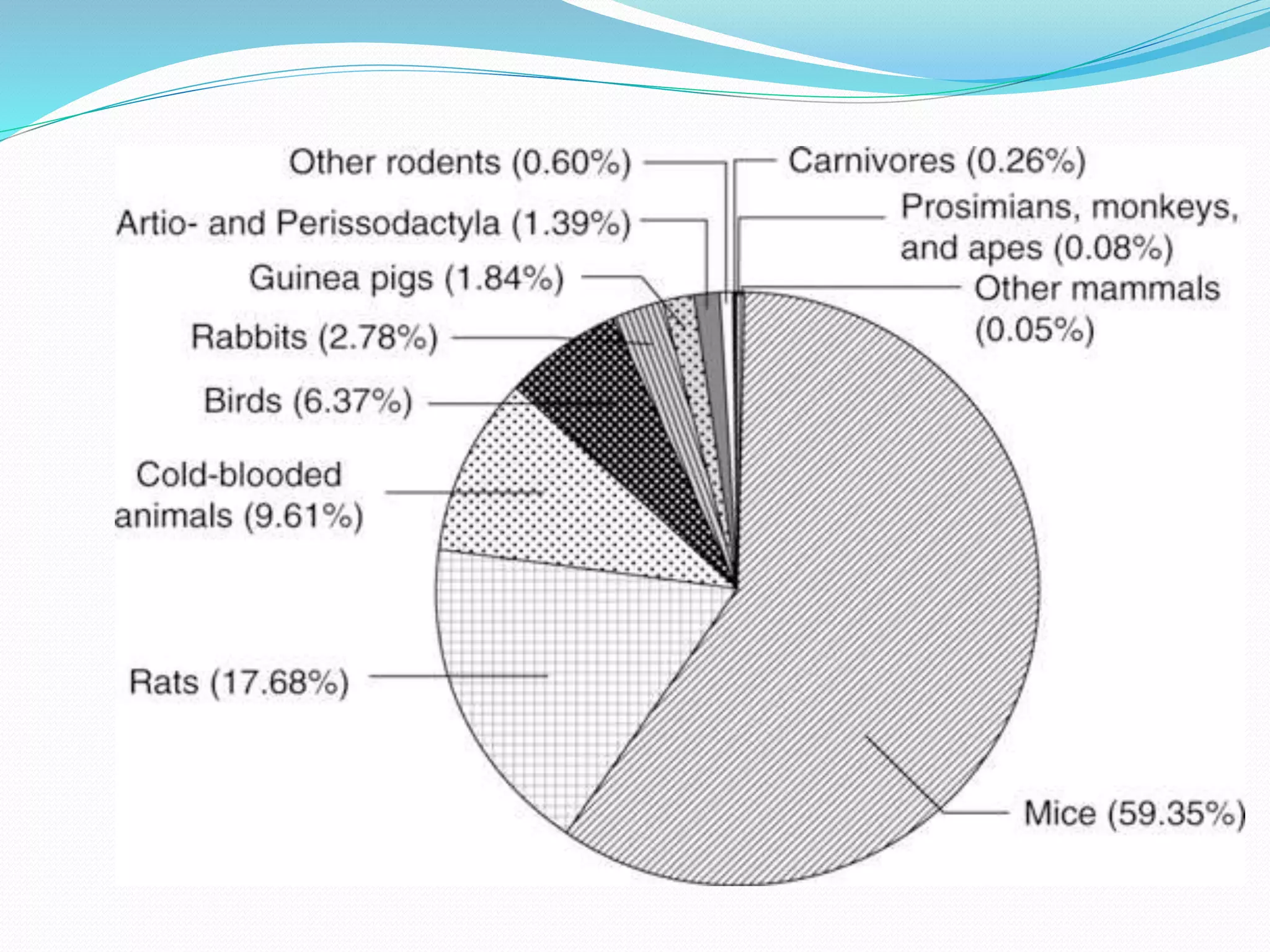 Lab animals anesthesia | PPTX