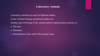 Lab animals CPCSEA guidlines M Pharm first Sem.pptx