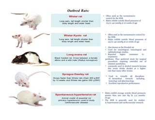 Common Laboratory Animals Used in Pharmacology by TOQIR AHMED | PPTX