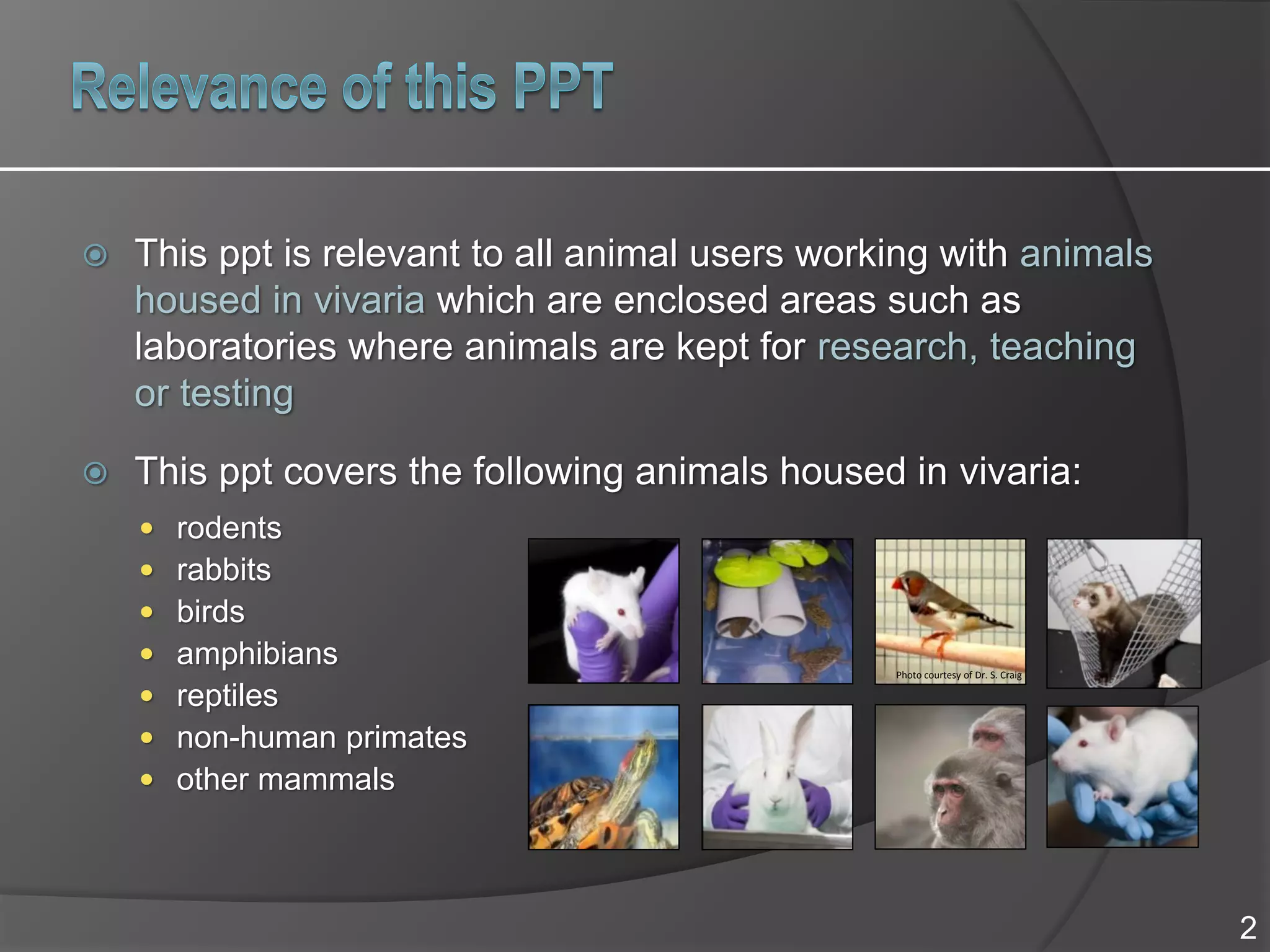 Stat Arb Performance | PDF